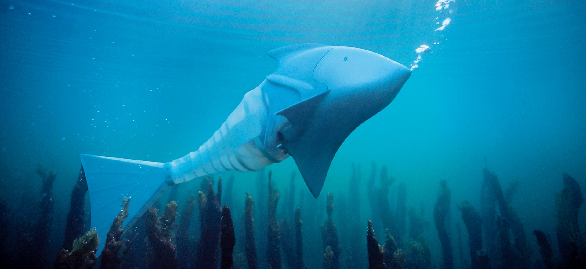 Airacuda | 费斯托网站