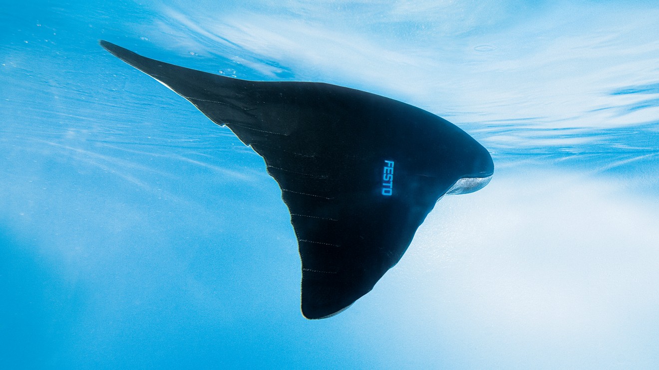 Aqua_ray | 费斯托网站